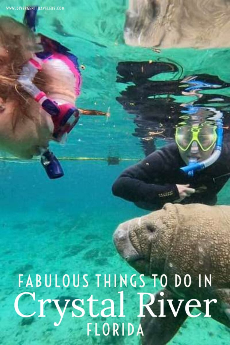 13 Incredible Reasons to Visit Crystal River, Florida (Planning Guide)