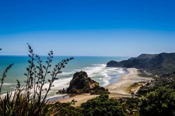 Piha Beach Planning & Surf Guide