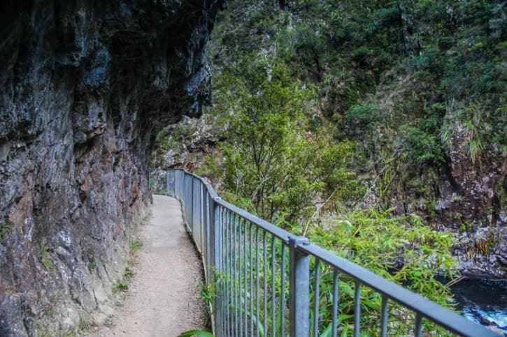 Karangahake Gorge: Off the Beaten Track in NZ