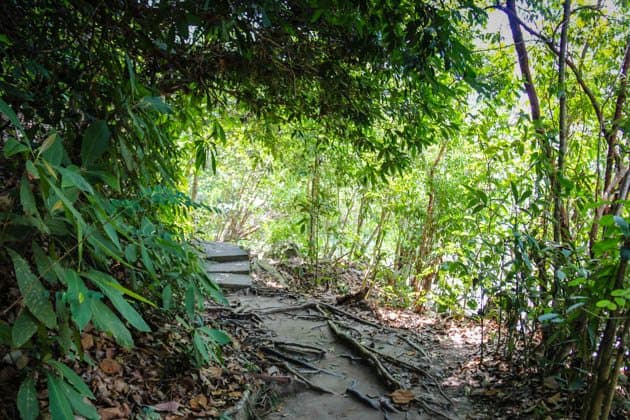 Monkey Beach Jungle Hike (Read This Before Trekking!)