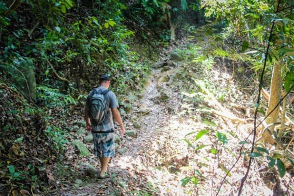 Monkey Beach Jungle Hike (Read This Before Trekking!)