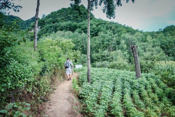 Walking the Great Wall of China: Best Routes & Tips