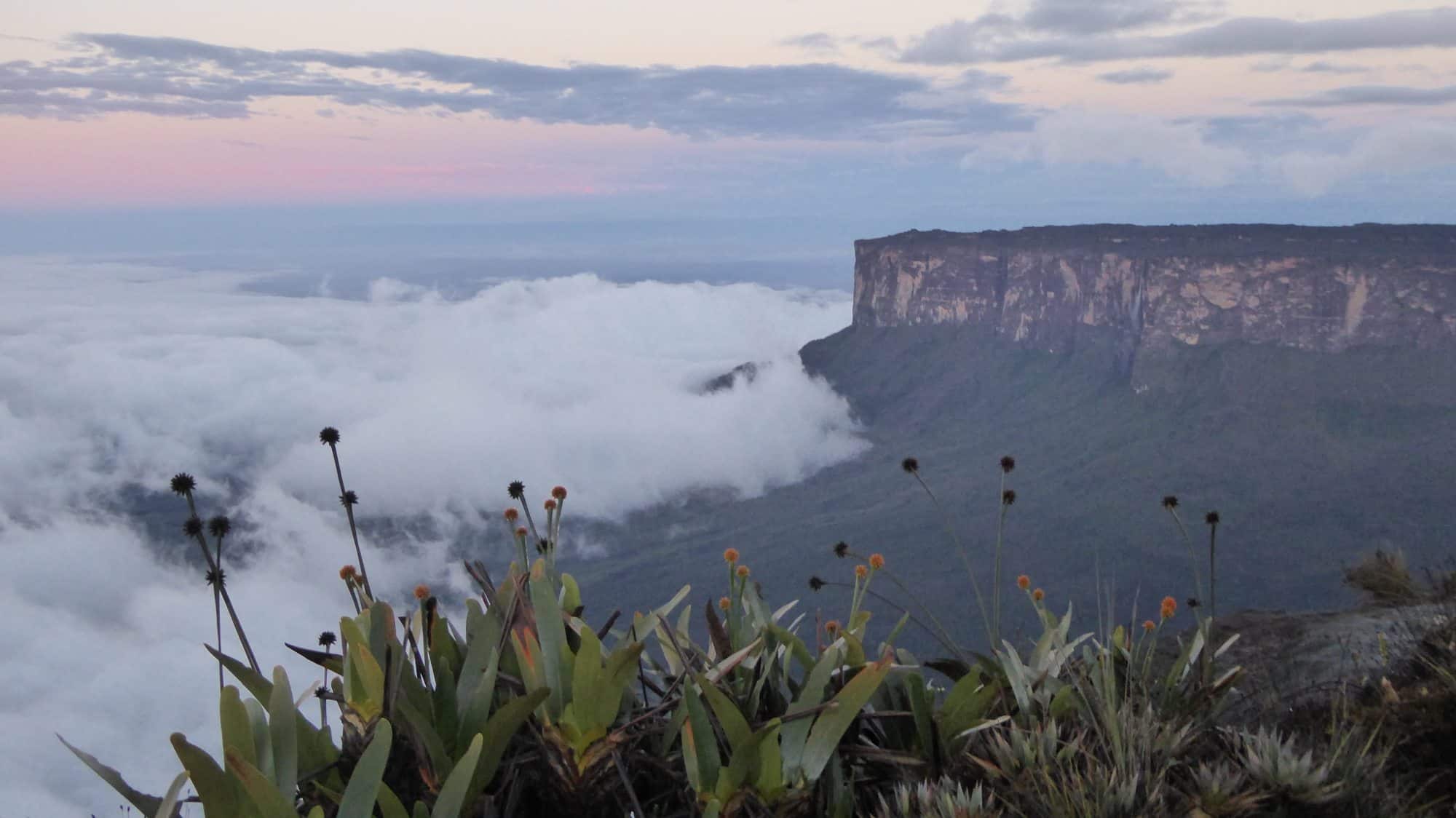 7 Exciting Things to Do in Venezuela (If You Dare To Go)