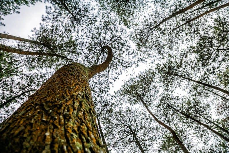 9 Interesting Things to Do in Bandung, Indonesia