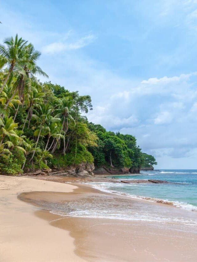 What To Do in Barbados: 9 Unique & Fun Ideas Story - Divergent Travelers