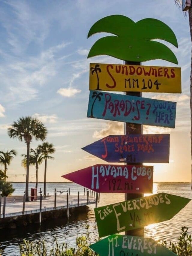 22 Unique & Fun Things to Do in Key Largo, Florida Story - Divergent ...