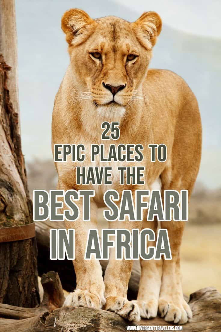 25 Epic Places to Have the Best Safari in Africa