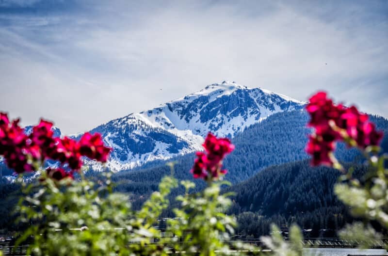 Best Time To Visit Alaska: Month by Month Breakdown