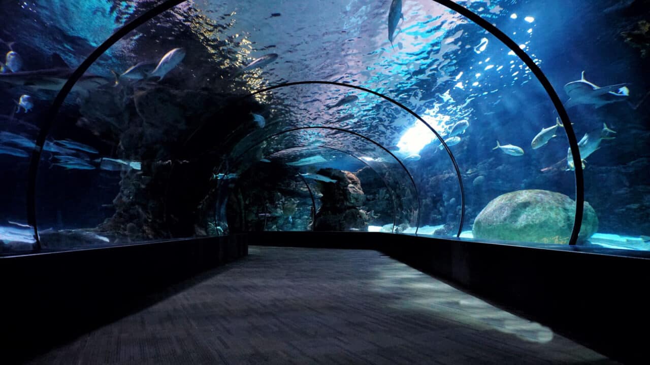 15 Top Things to do in Hurghada, Egypt