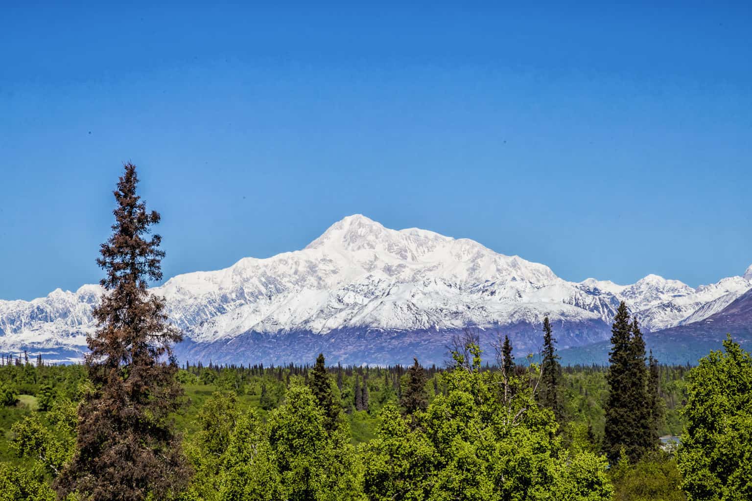 Best Time To Visit Alaska: Month by Month Breakdown