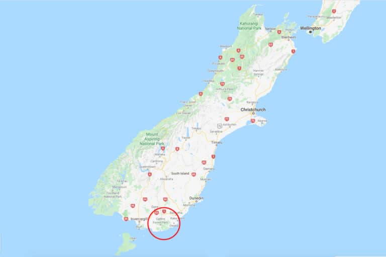 The Catlins New Zealand (7 Best Places & Travel Tips!)