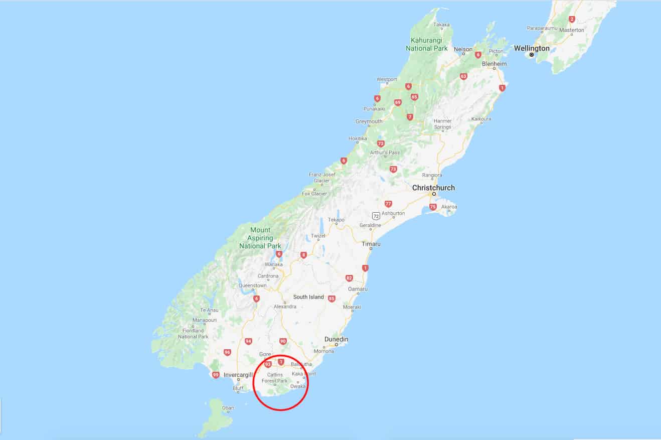 The Catlins New Zealand (7 Best Places & Travel Tips!)