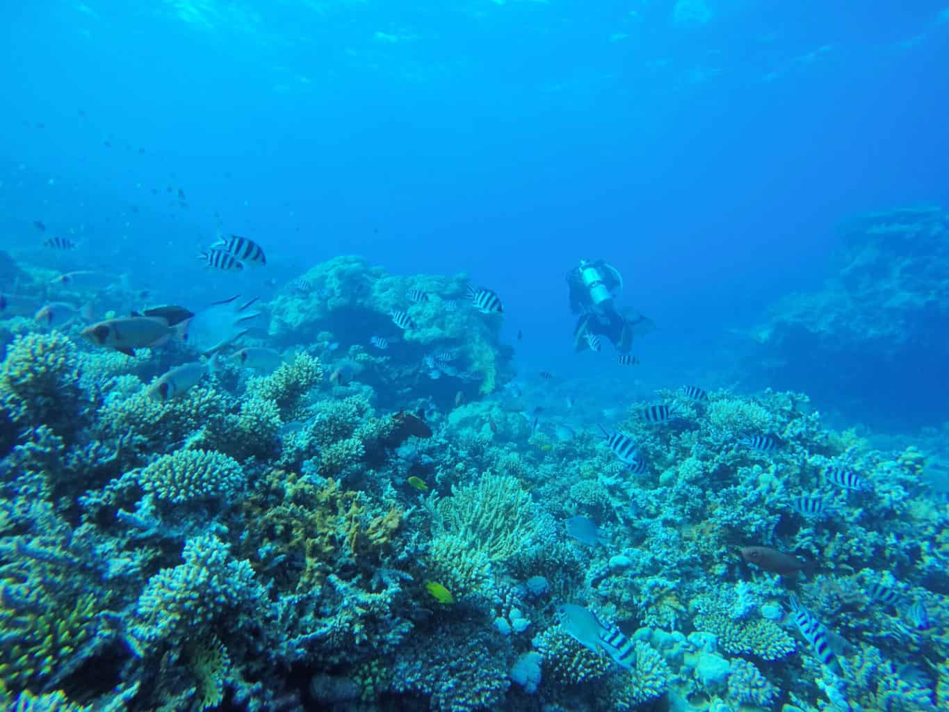 15 Top Things to do in Hurghada, Egypt