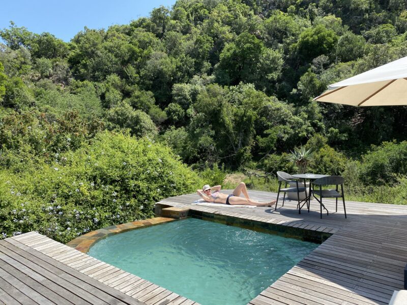 Travel Blog - Divergent Travelers