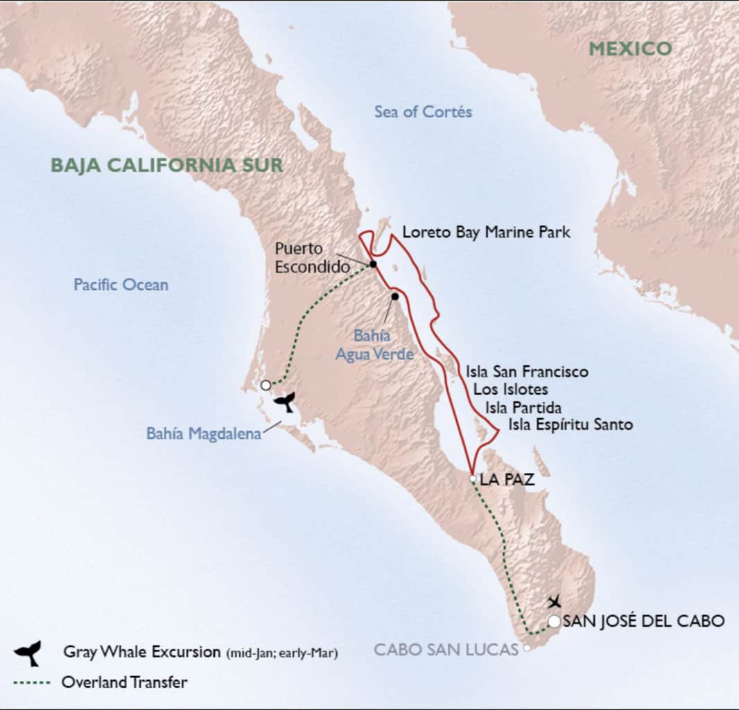 Ultimate Baja Mexico Cruise: The Sea of Cortez with UnCruise