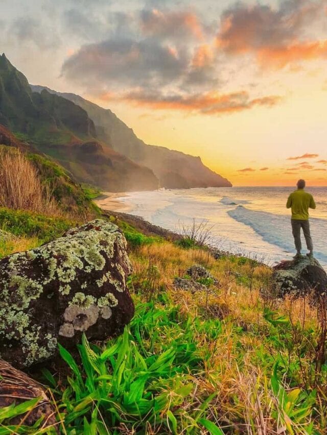 10 Best Maui Hikes for Insane Views Story - Divergent Travelers