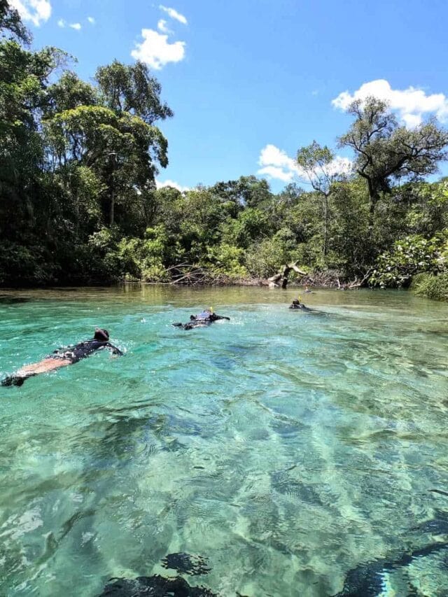 Bonito, Brazil: Ultimate Planning Guide + Why You Should Go Story ...