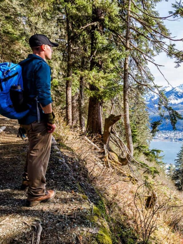 Best Travel Backpack Buying Guide Story - Divergent Travelers