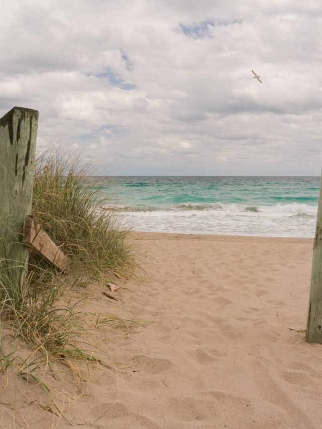The Best of Martin County, Florida & the Treasure Coast Story ...