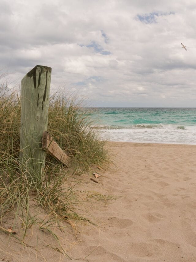 The Best of Martin County, Florida & the Treasure Coast Story ...