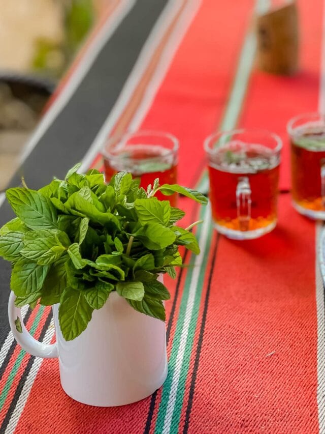 15 Tasty Jordanian Food Experiences You Cannot Miss During Your Visit ...