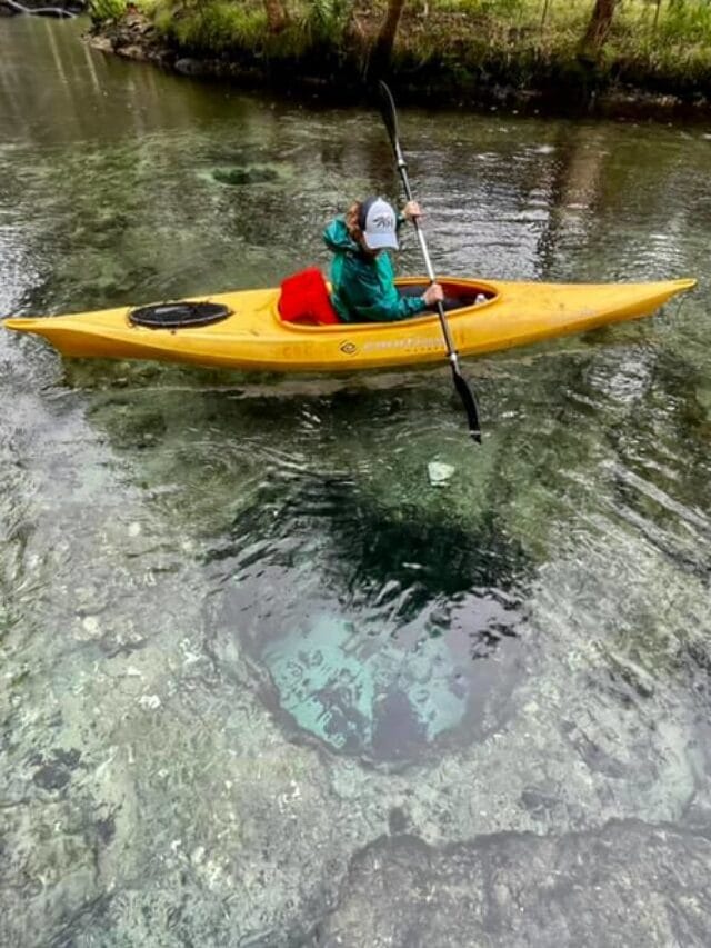 13 Fabulous Things to Do in Crystal River, FL Story - Divergent Travelers