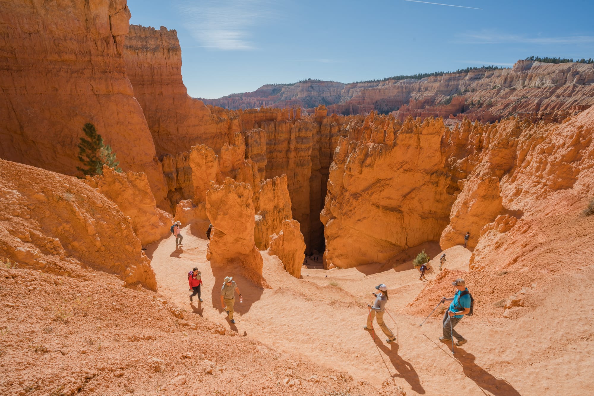 Ultimate North America Travel Guide (Plan, Tips & Advice)