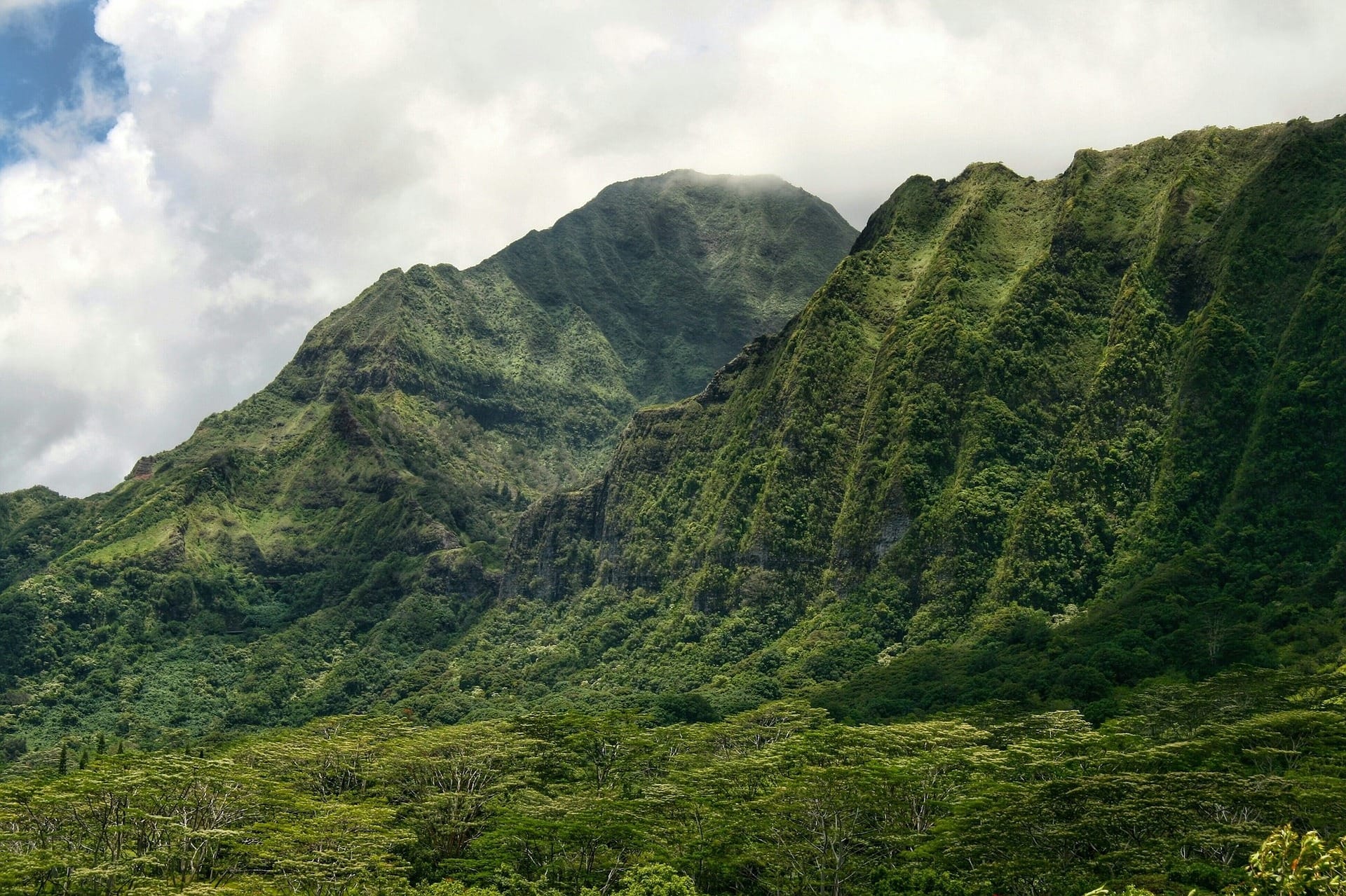 Ultimate Hawaii Travel Guide (Plan, Tips & Advice)